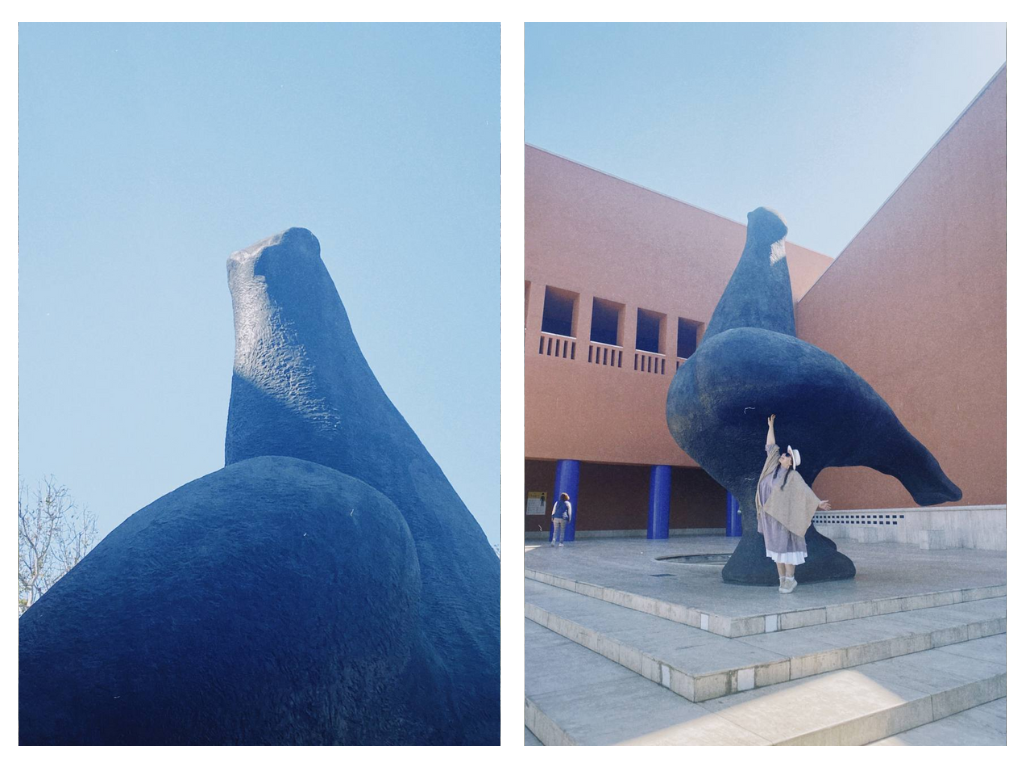 MARCO - Museum of Contemporary Art in Monterrey | Nomadic Clouds